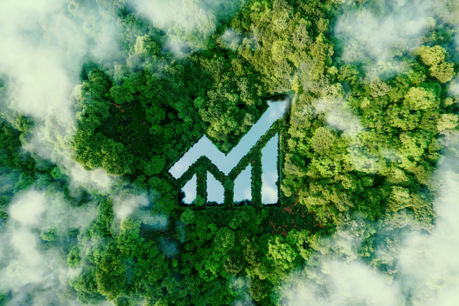 La importancia del marketing verde - es